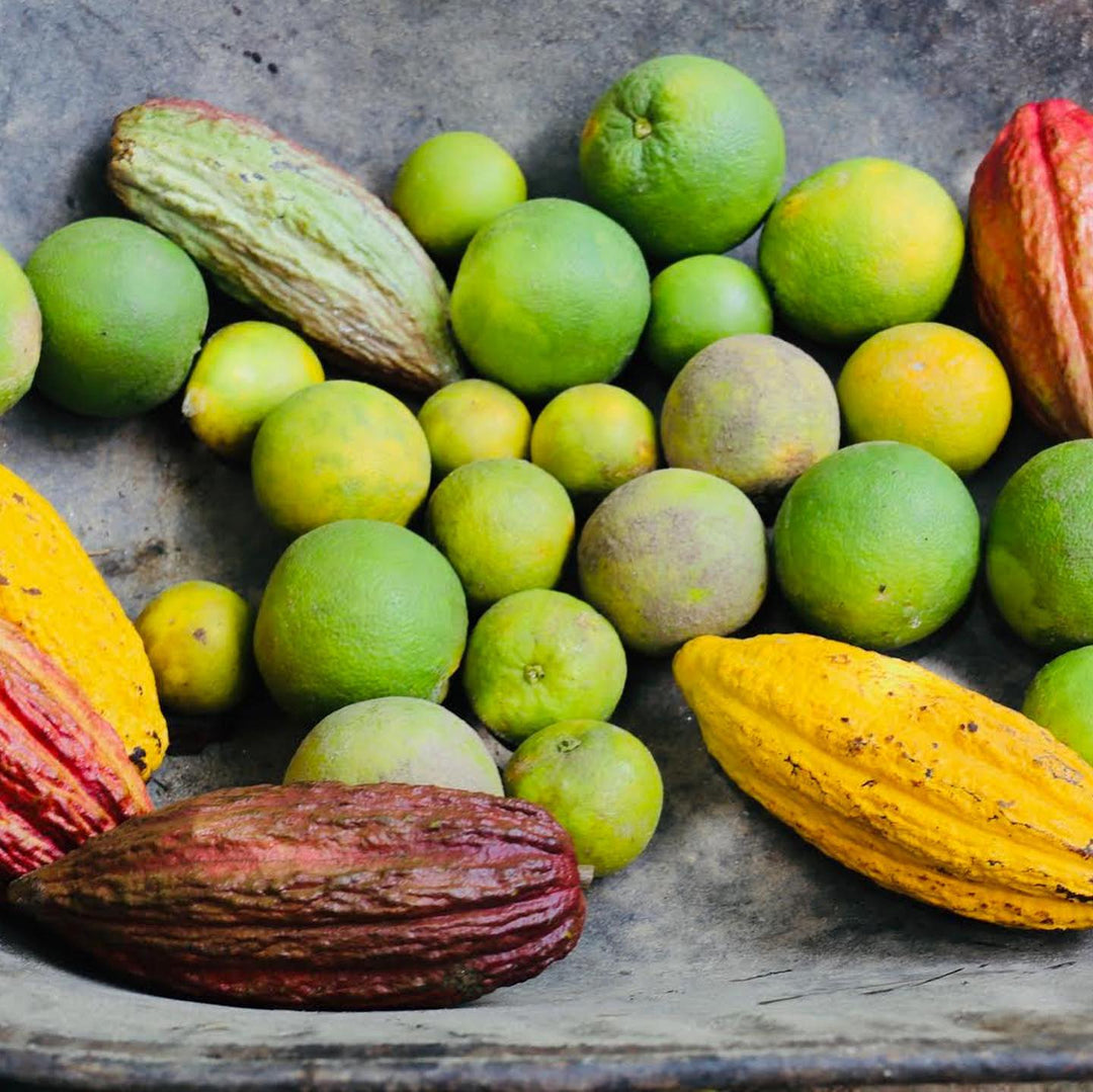 Fairtrade and Oragnic – Bennetto Natural Foods Australia